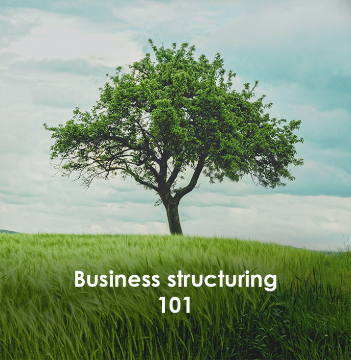 structuring-tree - Optimised Accounting